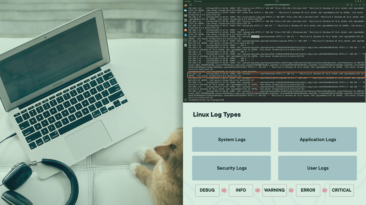 Network Monitoring And Analysis With Bash 7753