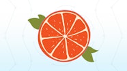 Beginner s Guide To Vector Drawing In Illustrator Course OfCourseMe Beginner s Guide To Vector Drawing In Illustrator Course OfCourseMe