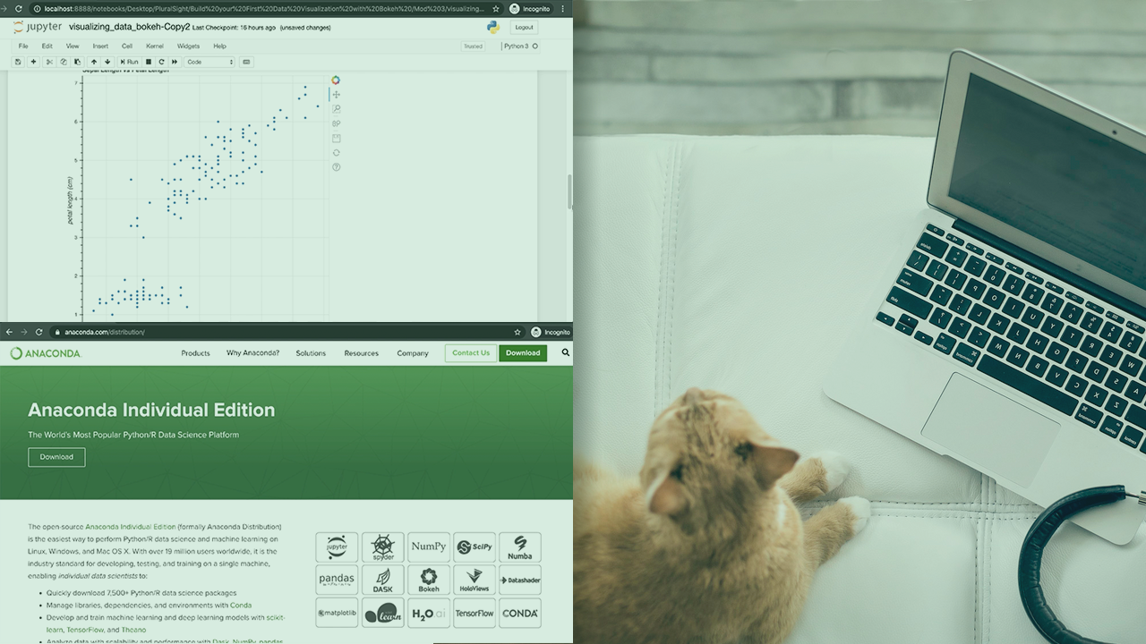 Build Your First Data Visualization With Bokeh
