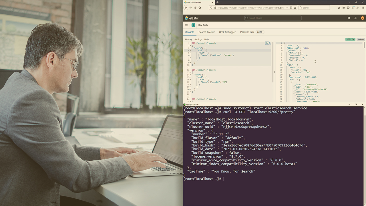 Executing Basic Queries With Elasticsearch