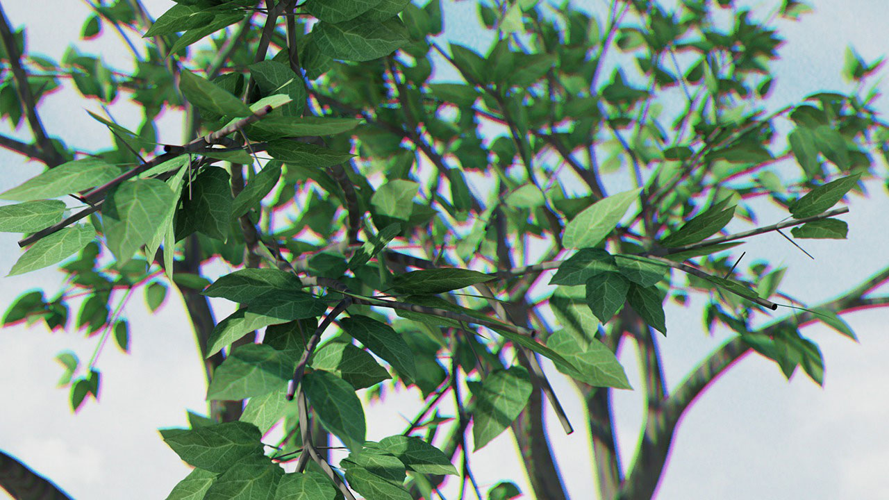 mental ray Nodes Reference Library: Lenses mental ray Nodes Reference Library: Lenses