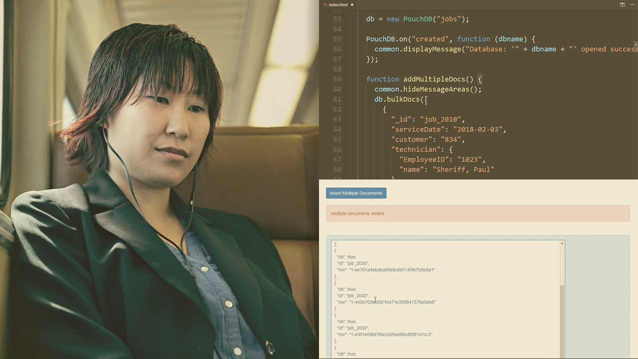 Pouchdb Playbook Simplify Offline Web Application Storage